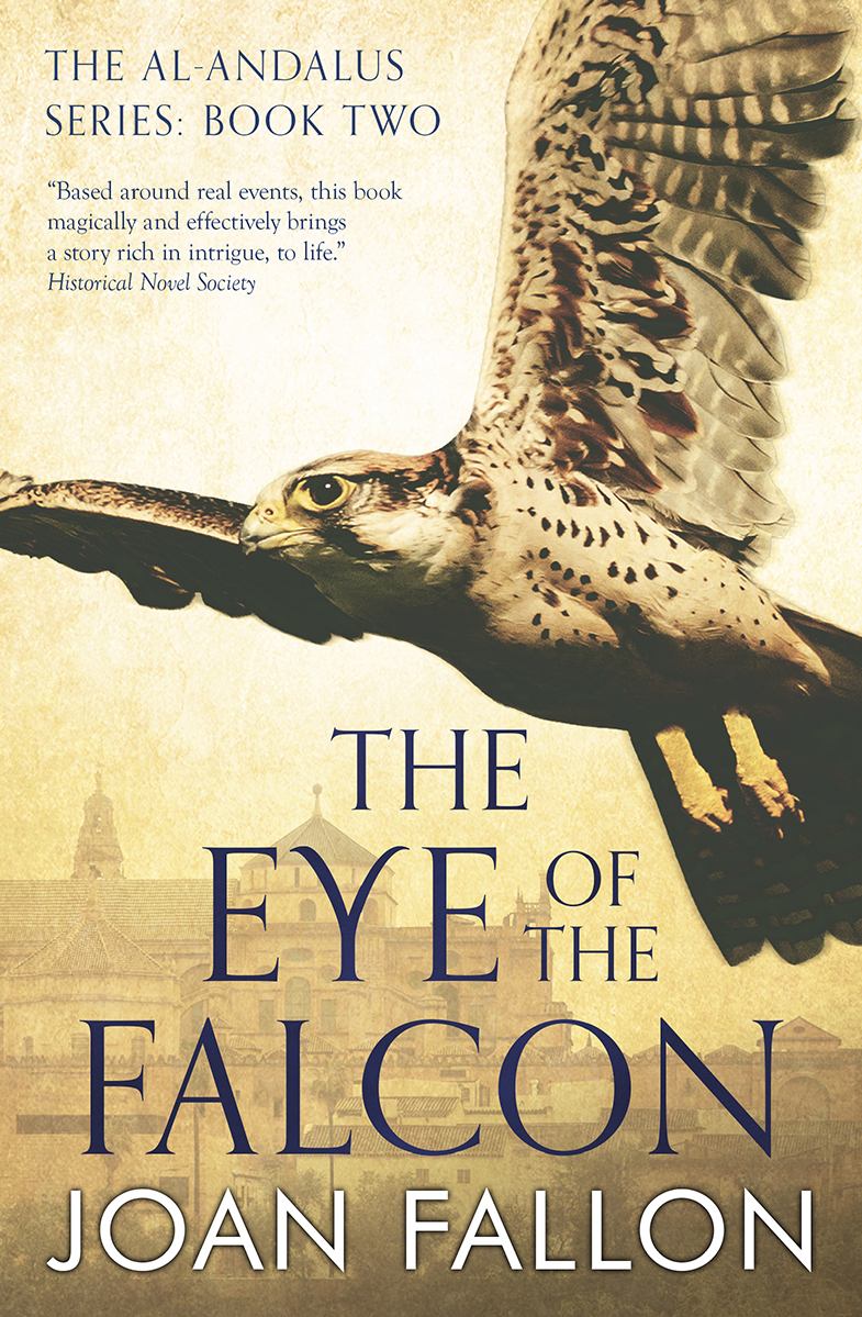 The Eye of the Falcon - Joan Fallon