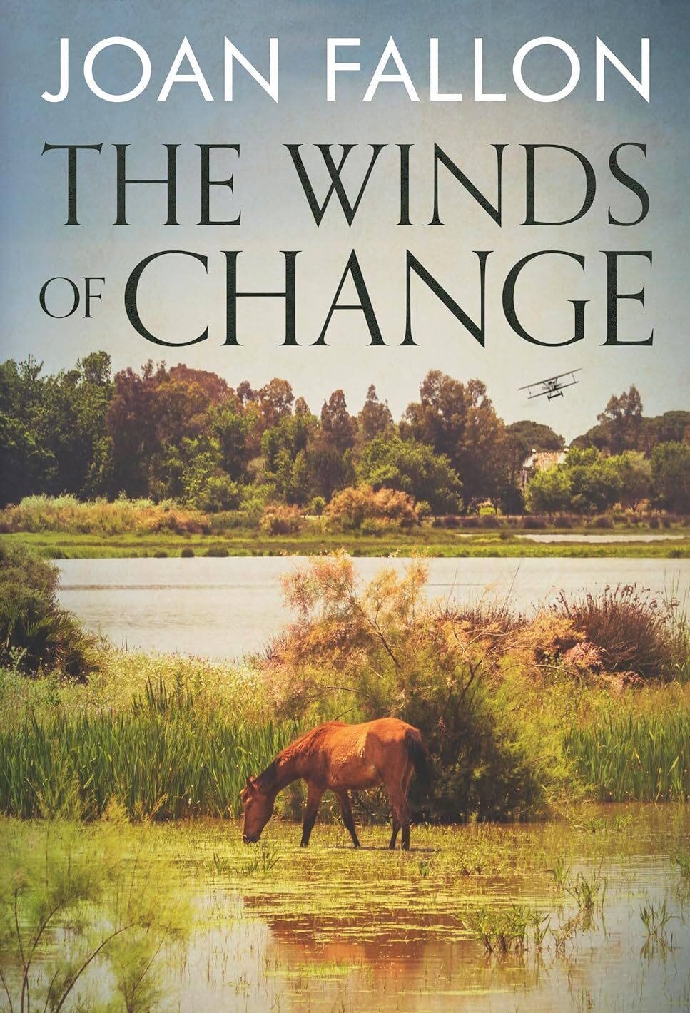 THE WINDS OF CHANGE - Joan Fallon